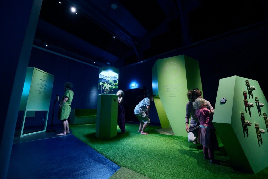 Immersive Nature Exhibition Takes Visitors on a Sensorial Experience | SBID