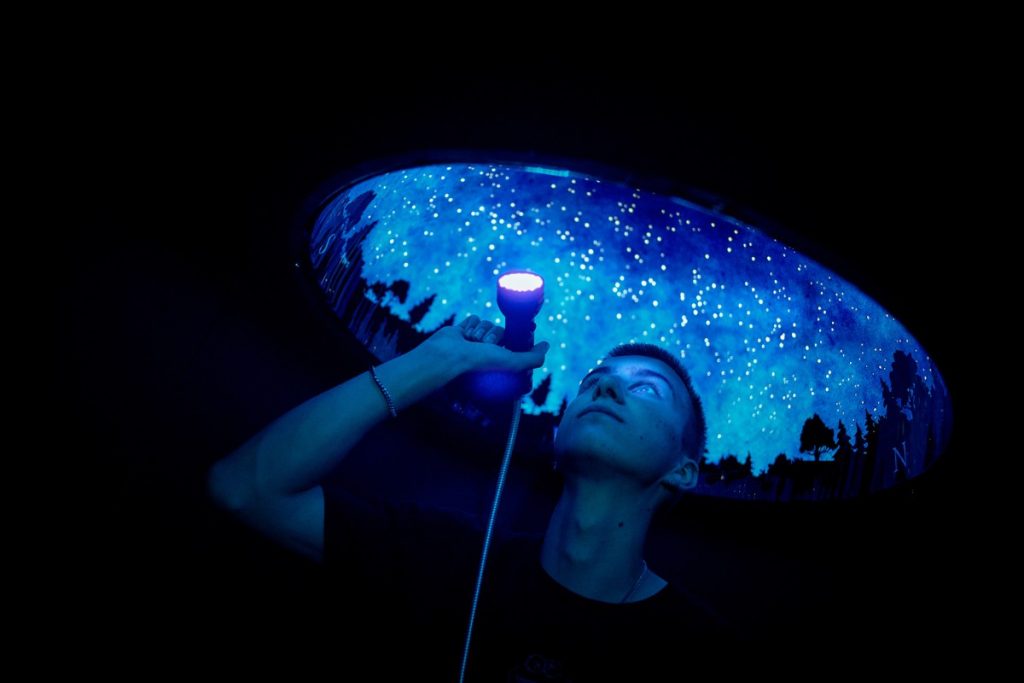 Immersive Nature Exhibition Takes Visitors on a Sensorial Experience | SBID