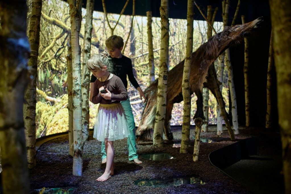 Immersive Nature Exhibition Takes Visitors on a Sensorial Experience | SBID